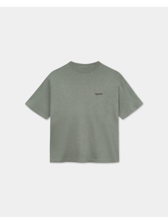 CC Christensen - Bareen